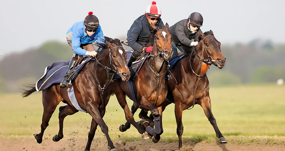 Jamesfield Place | James Tate Racing