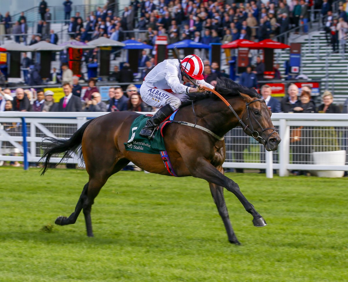 Invincible Army marches on to the Commonwealth Cup! | James Tate Racing