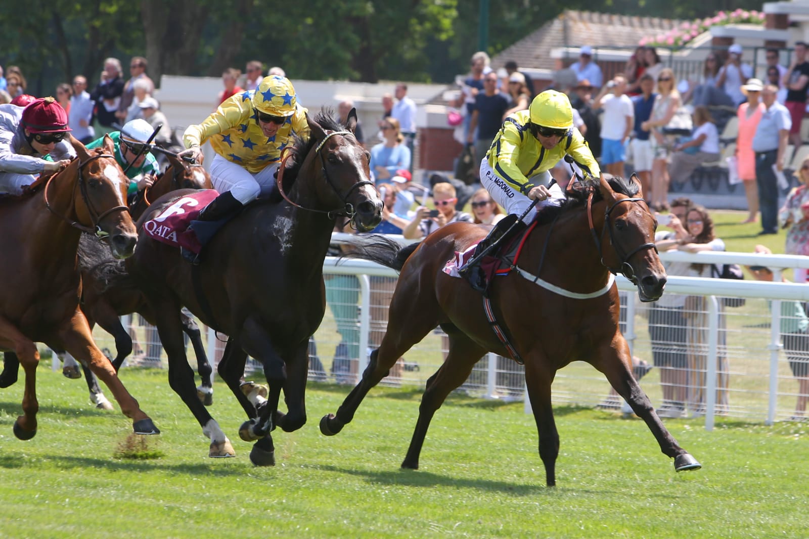 Far Above lands Listed Deauville Prize! | James Tate Racing