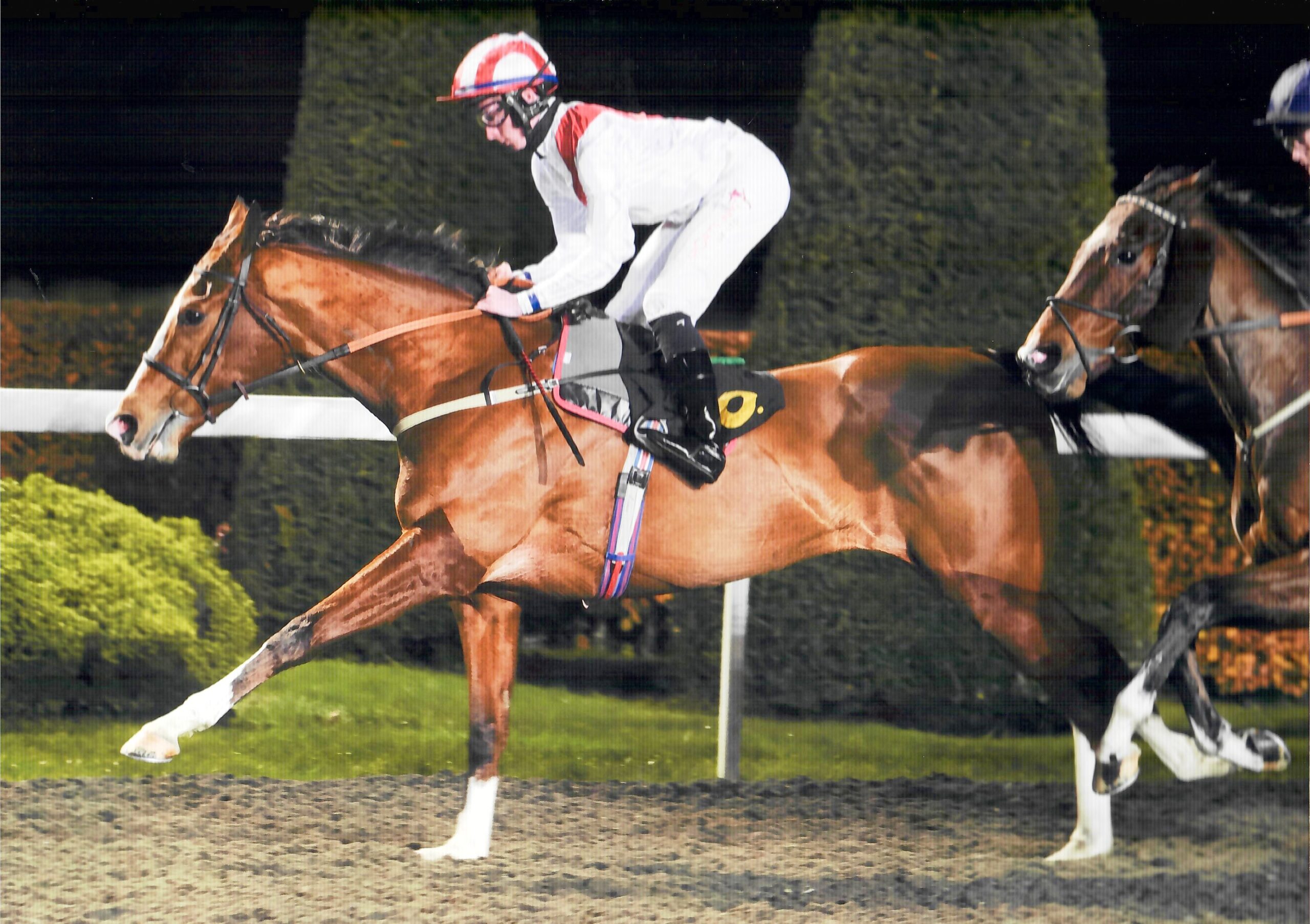 GARDEN PARADISE RUNS AWAY WITH LISTED WILD FLOWER STAKES! | James Tate ...