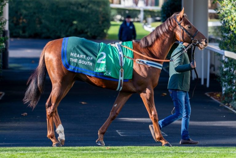 Horses For Sale | James Tate Racing